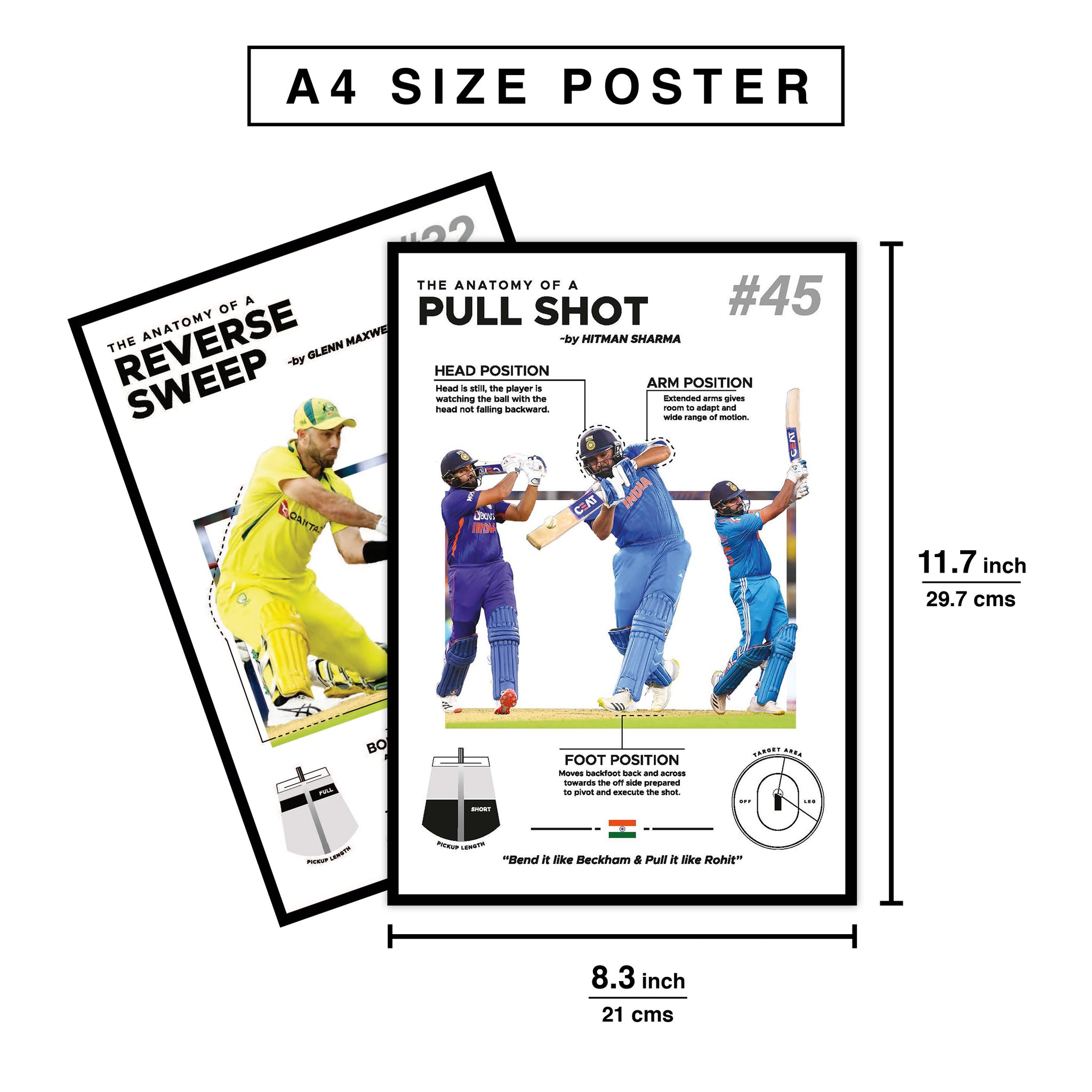 The Anatomy of Cricket Wall Posters Pack of 6 A4 size – Stickerly