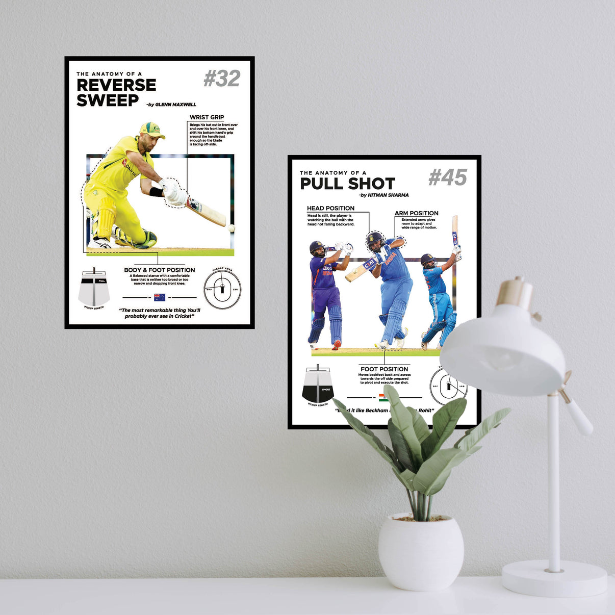 The Anatomy of Cricket Wall Posters Pack of 6 A4 size – Stickerly